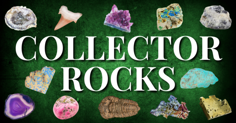 About Us – Squire Boone Village