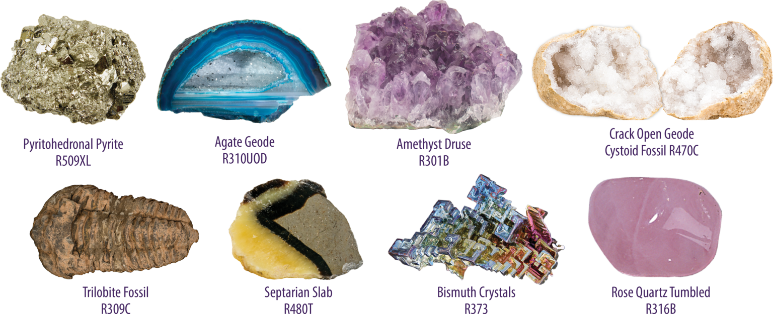 Collector Rocks – Squire Boone Village