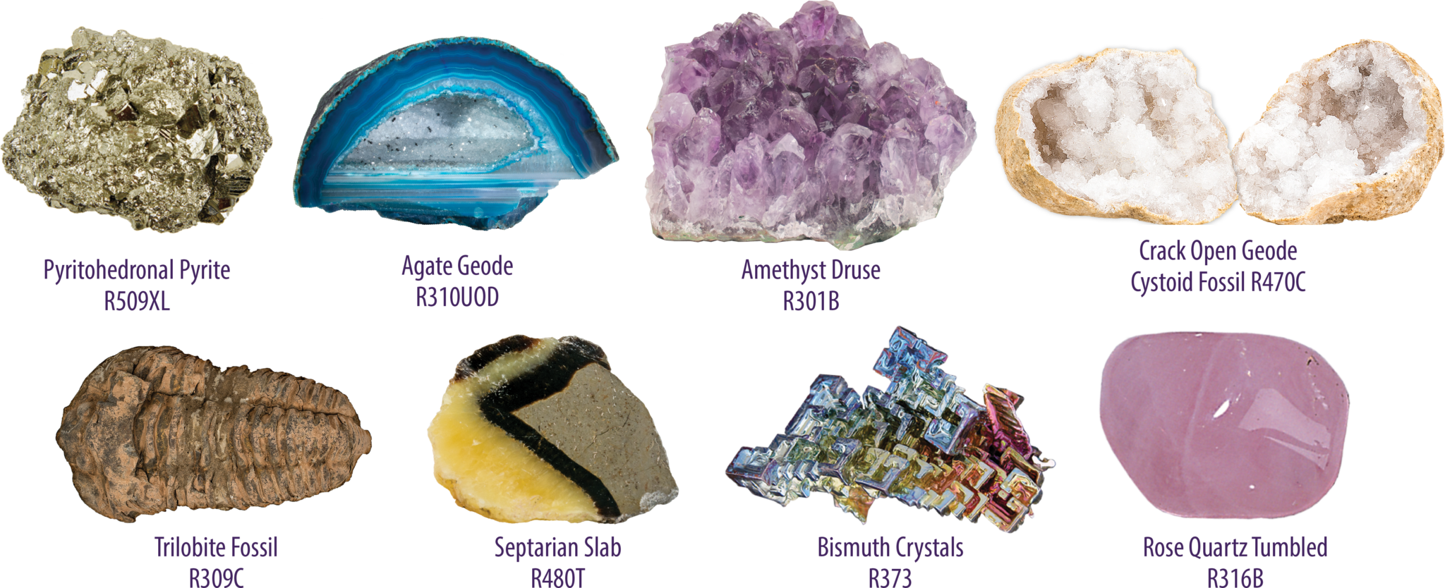 Collector Rocks – Squire Boone Village